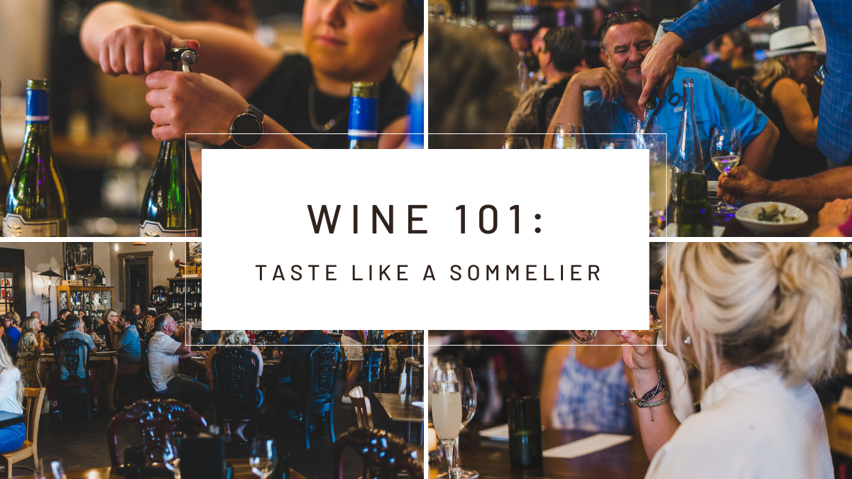 Wine 101: How To Taste Wine Like A Sommelier - Vineyard Market